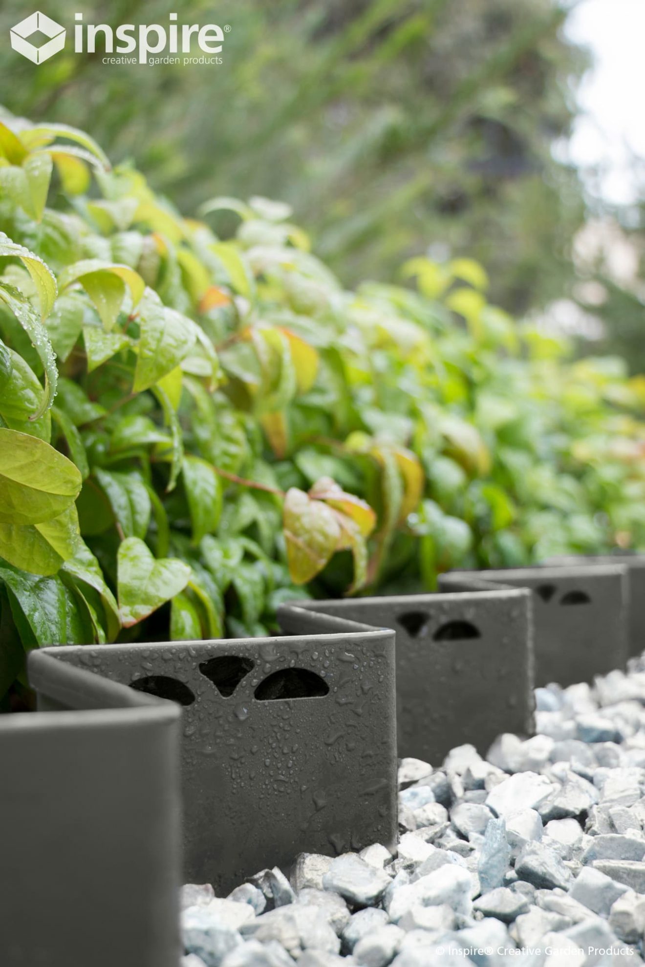 Garden Inspiration - Inspire