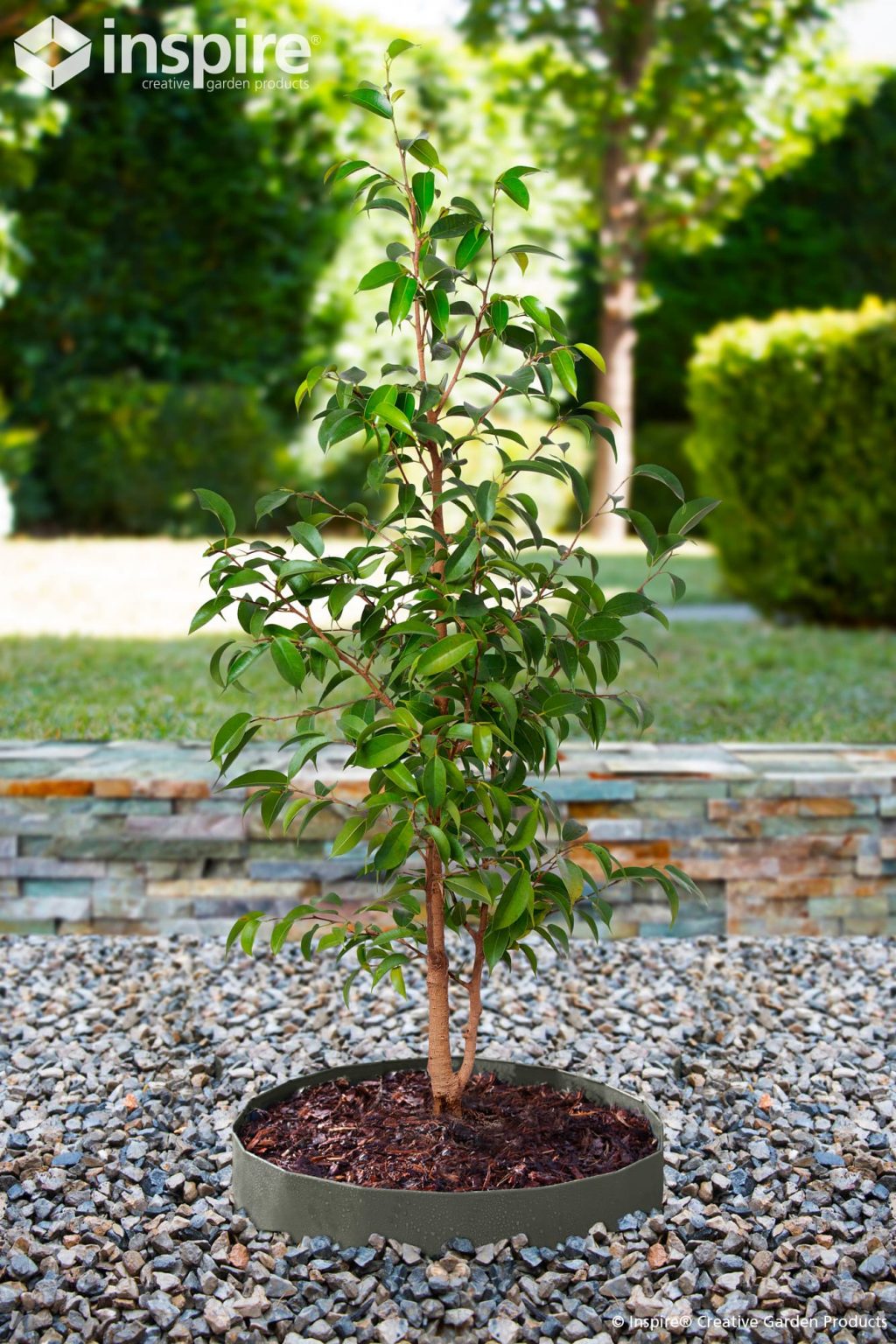 Garden Inspiration - Inspire